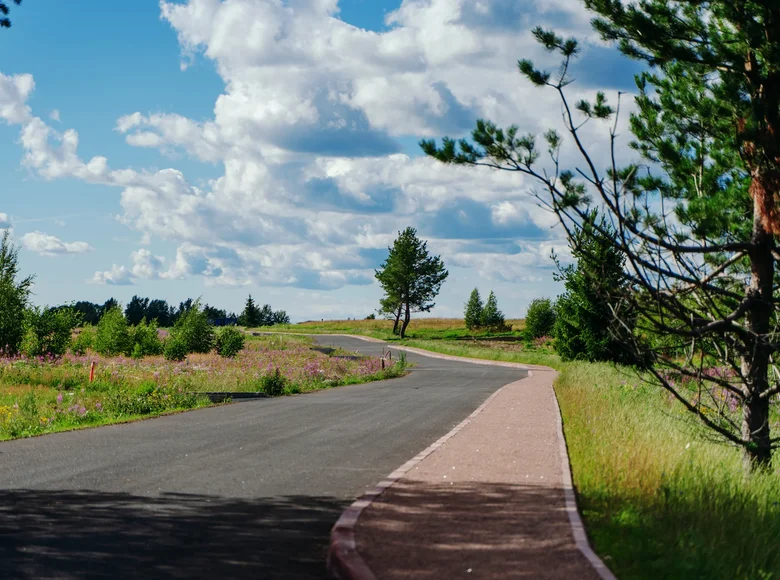 Cottage village Lintulovo for sale - Realting