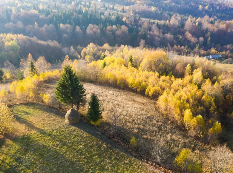 Lands for sale in Poland - Buy Lands