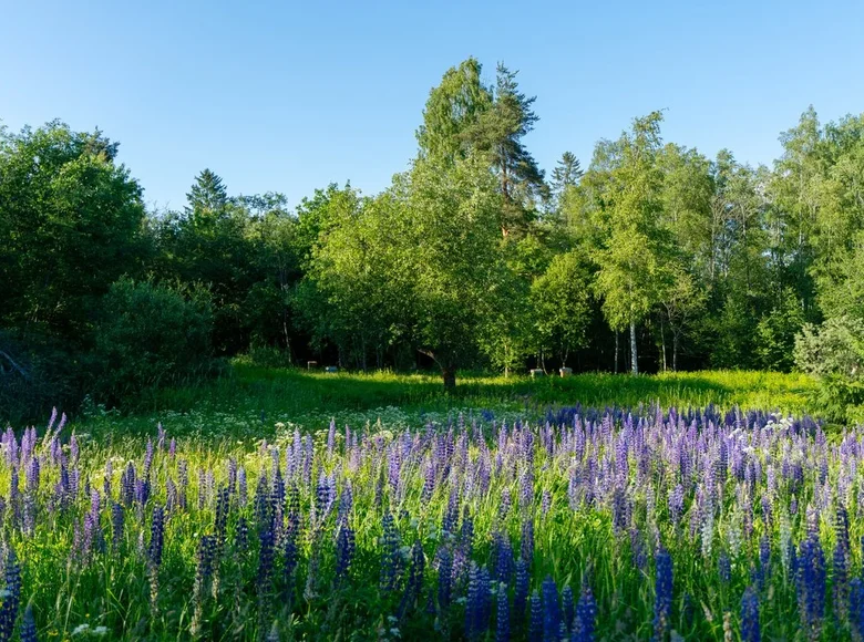 Hüttendorf Levada kaufen - Realting
